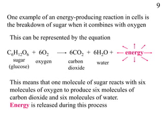 respiration.ppt