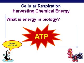 RESPIRATION.ppt