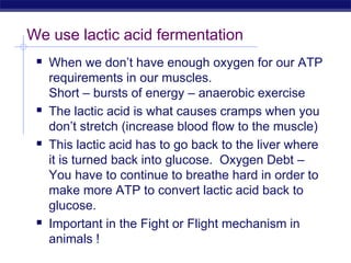 RESPIRATION.ppt