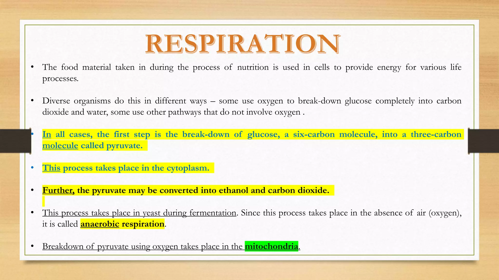RESPIRATION.pptx