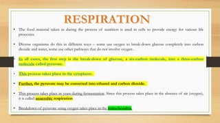 RESPIRATION.pptx