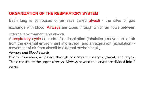 Respiration of human ................... | PPT