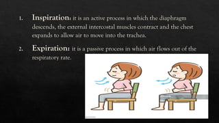Respiration in vital signs, nursing foundation | PPTX