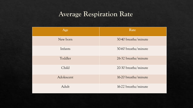 Respiration in vital signs, nursing foundation | PPTX | Lung and ...