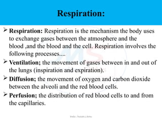 HUMAN RESPIRATION CHAPTER FOR NURSES.pptx