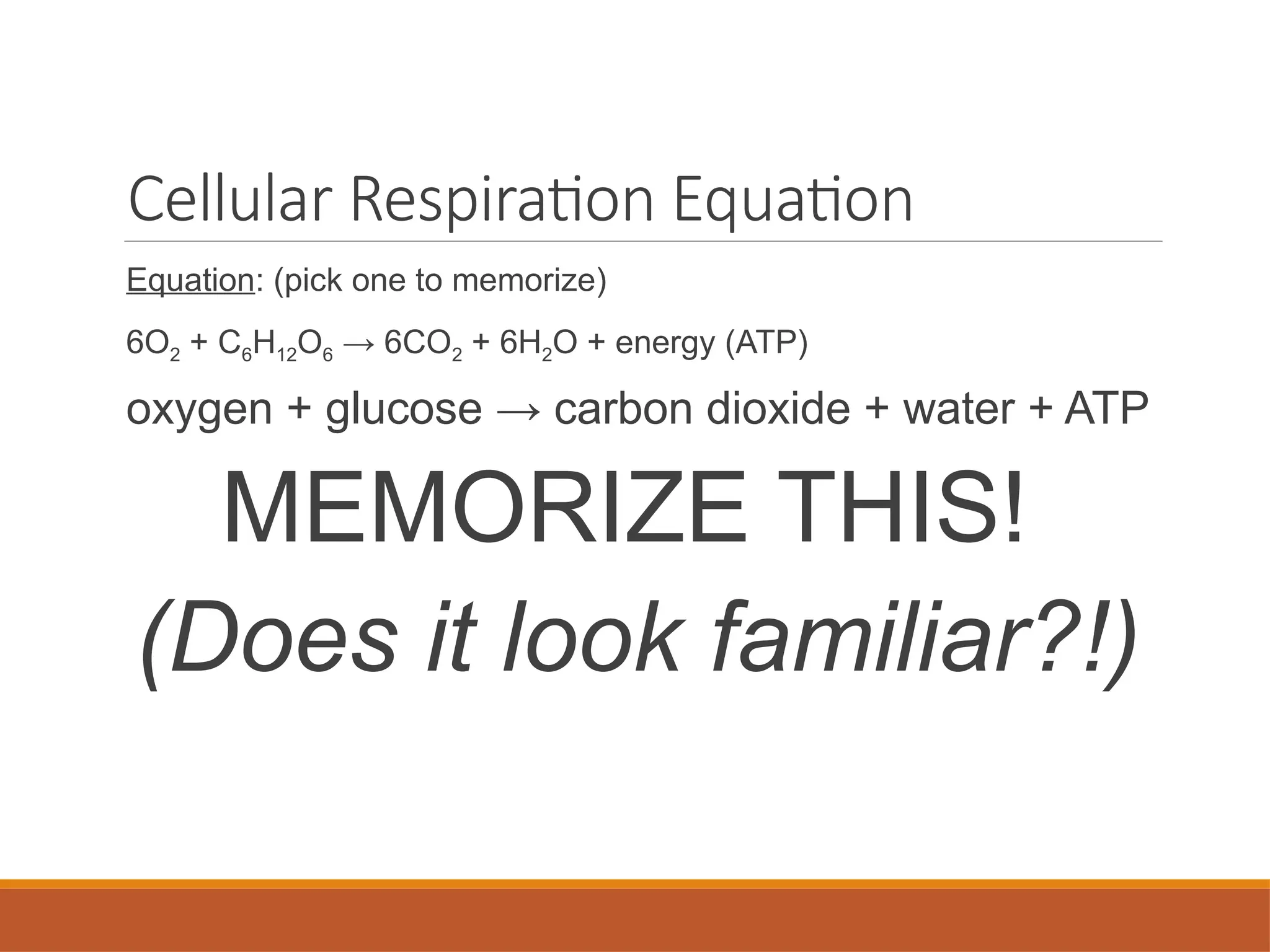 Respiration for biology students major in microorganisms | PPTX
