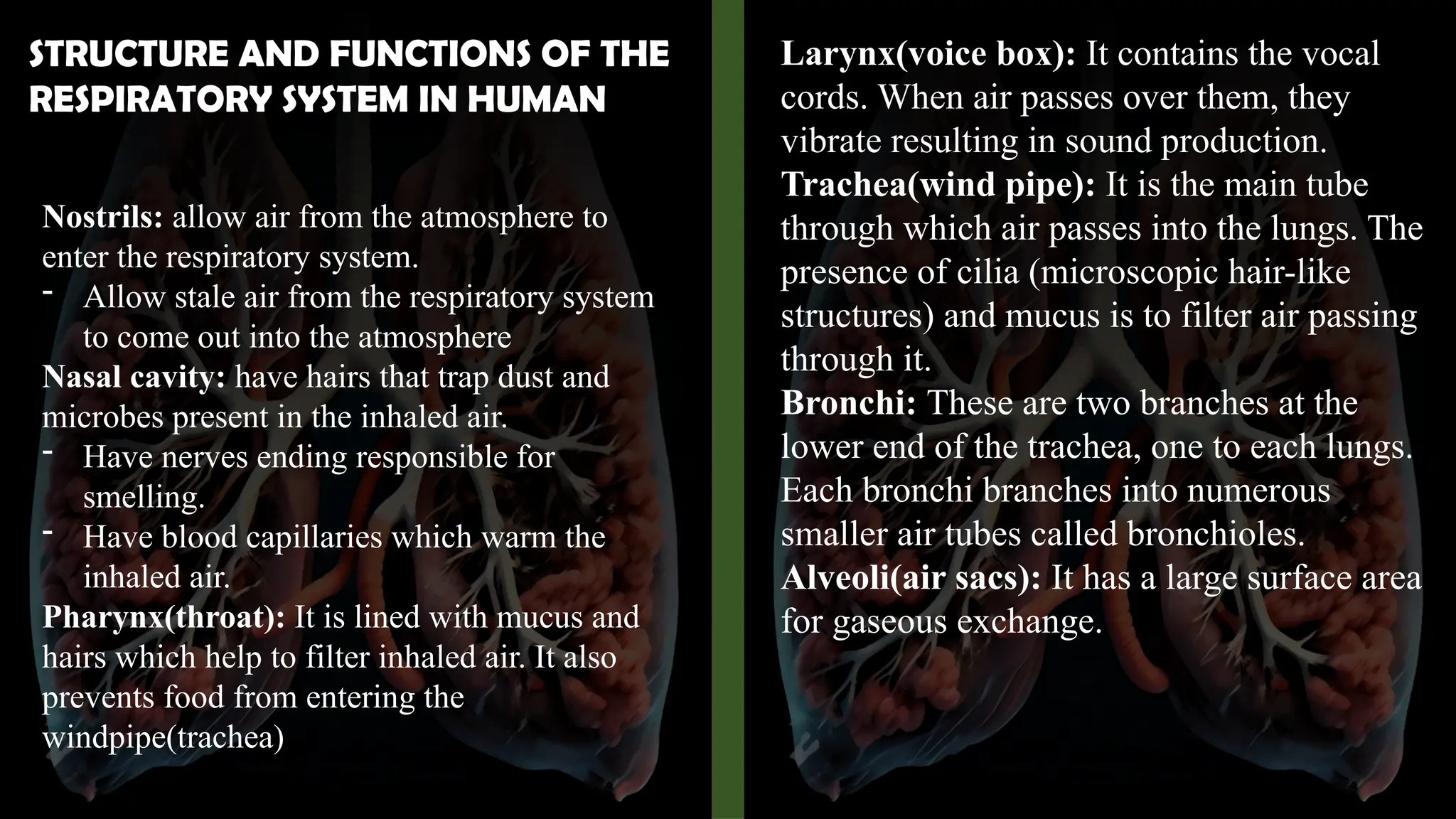 Respiration as a source of energy for the body processes.pptx