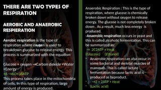 Respiration as a source of energy for the body processes.pptx