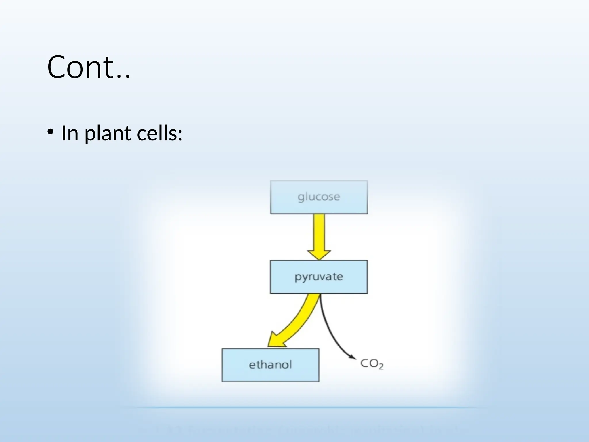 CELLULAR RESPIRATION for young science.pptx