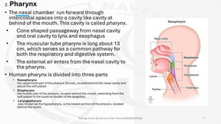 Human respiratory System Respiration.pdf