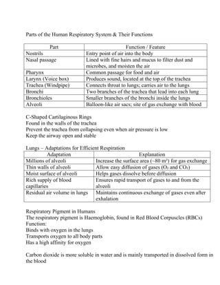Biology Class 10 Notes of Respiration.pdf