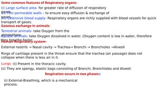 Respiration SYSTEM OF HUMAN BODY IN DETAIL | PPTX