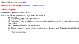 Respiration SYSTEM OF HUMAN BODY IN DETAIL | PPTX