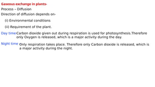 Respiration SYSTEM OF HUMAN BODY IN DETAIL | PPTX