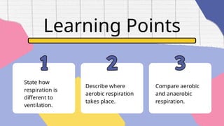 Respiration-Biology-Presentation-in-a-Bold-Colorful-Style.pptx