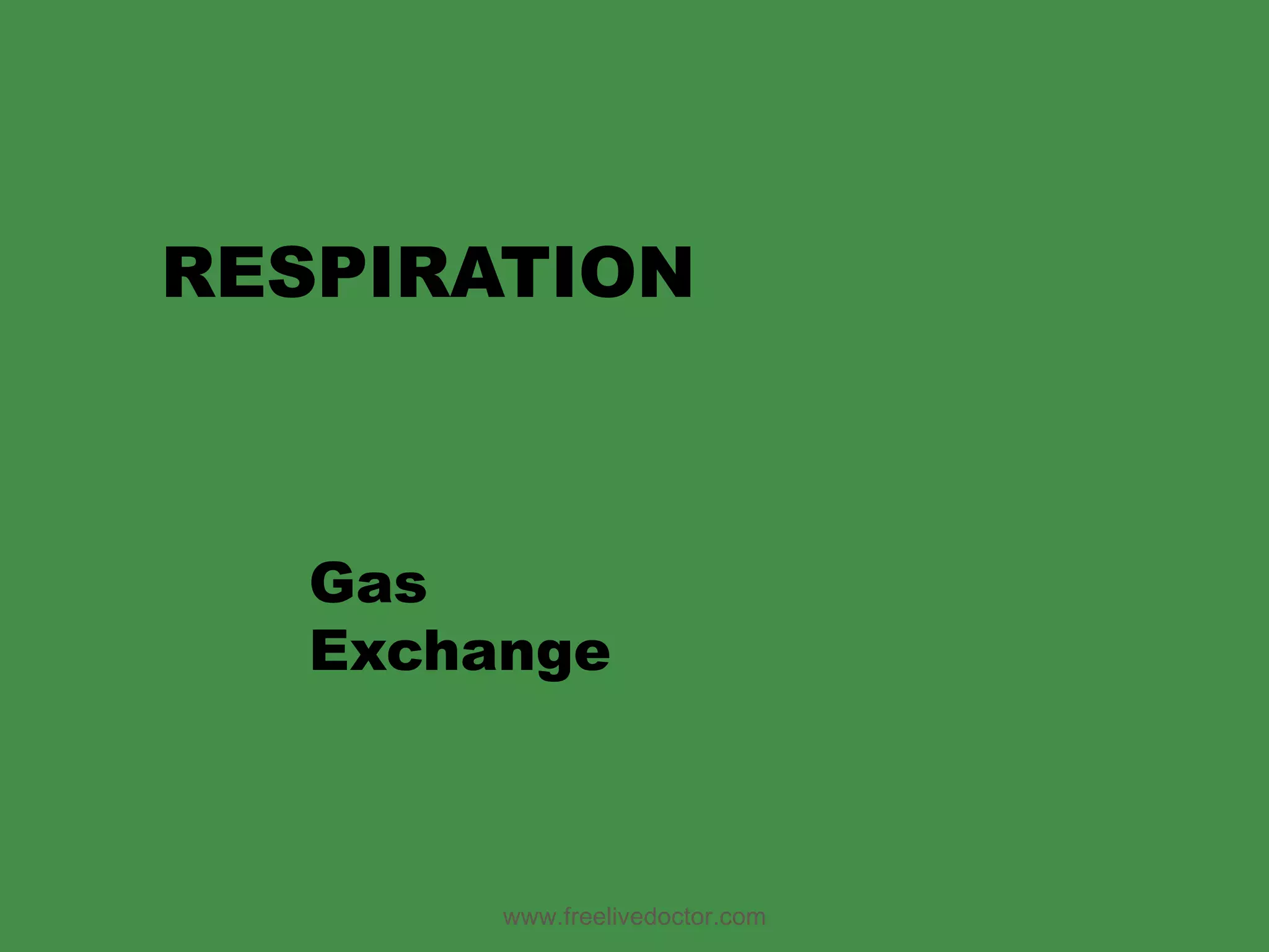 Respiration Gas Exchange | PPT