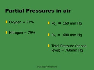 Respiration Gas Exchange | PPT