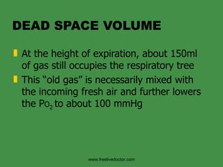 Respiration Gas Exchange | PPT
