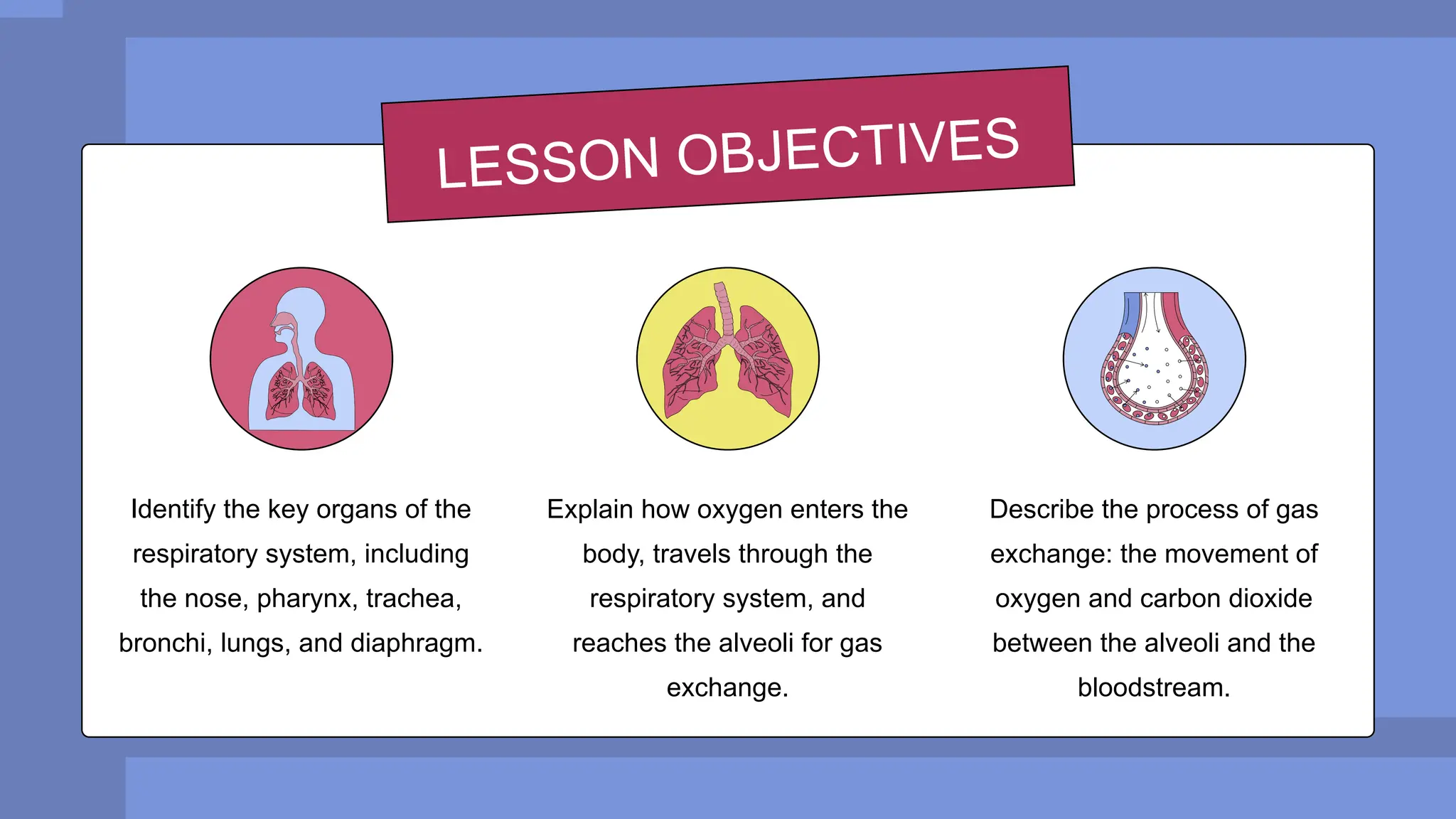 The Human Respiratory system for Grade 5 | PPTX