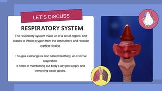 The Human Respiratory system for Grade 5 | PPTX