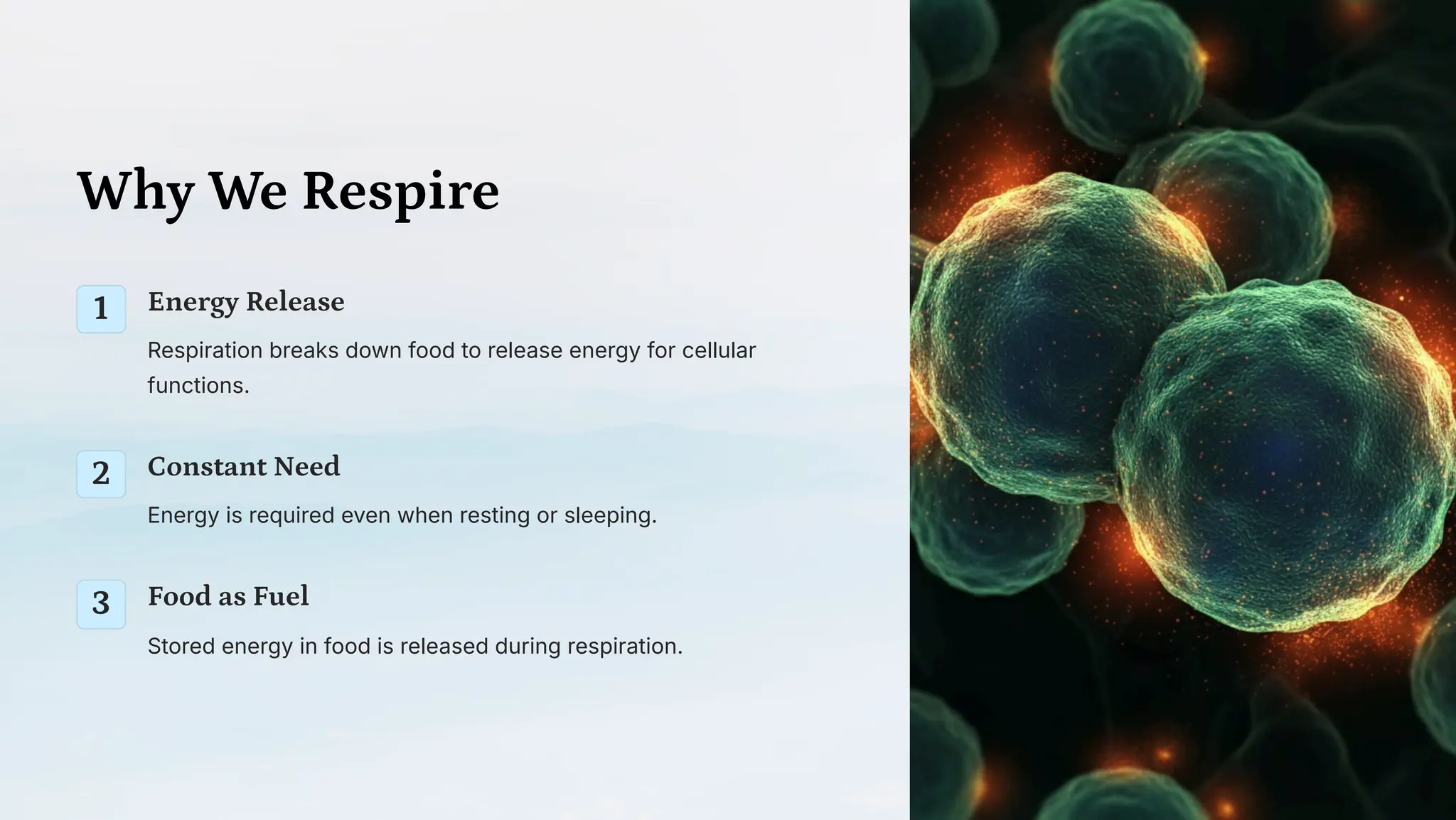 Respiration-in-Organisms.pdf 7TH CLASS PDF | PDF