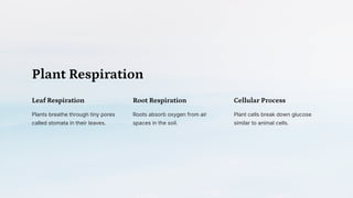 Respiration-in-Organisms.pdf 7TH CLASS PDF | PDF