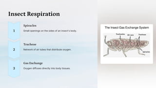 Respiration-in-Organisms.pdf 7TH CLASS PDF | PDF