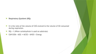RESPIRATION in PLANTS BASED ON NCERT BOOK RELATED | PPTX