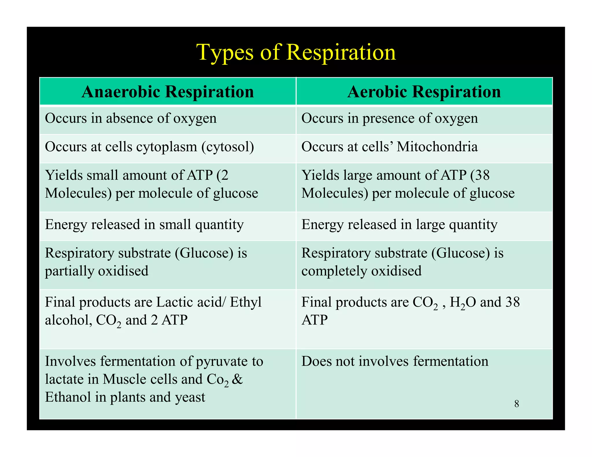 Respiration in Plants (Types) | PDF