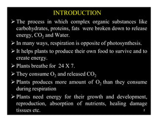 Respiration in Plants (Types) | PDF