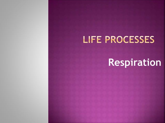 Respiration life processes | PPTX | Lung and Respiratory Health ...