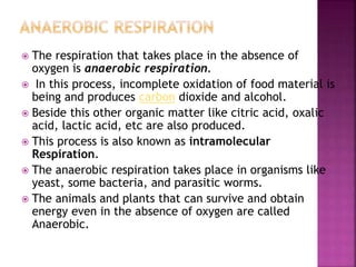 Respiration life processes | PPTX