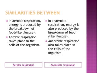 Respiration life processes | PPTX