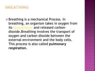 Respiration life processes | PPTX