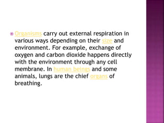 Respiration life processes | PPTX