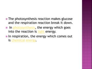 Respiration life processes | PPTX