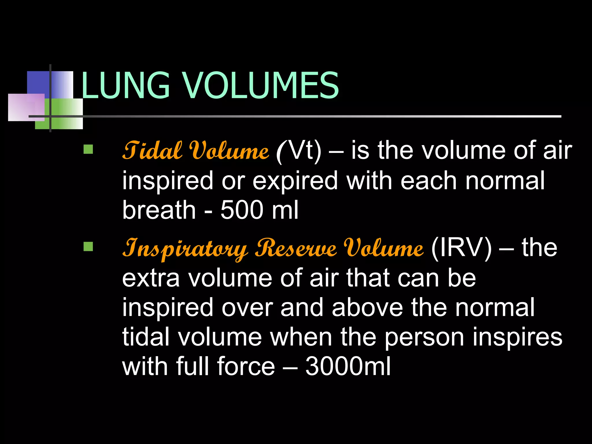 Respiration Ventilation | PPT