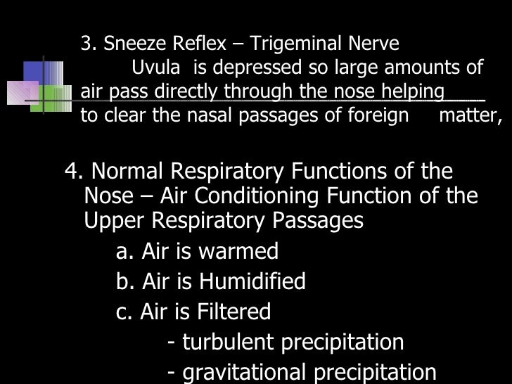 Respiration Ventilation