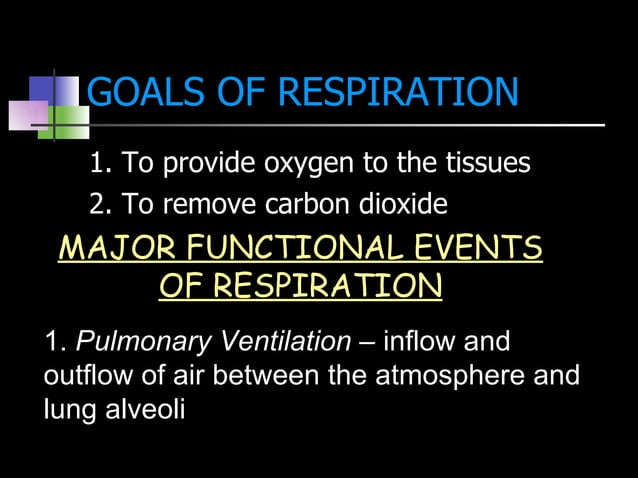 Respiration Ventilation | PPT