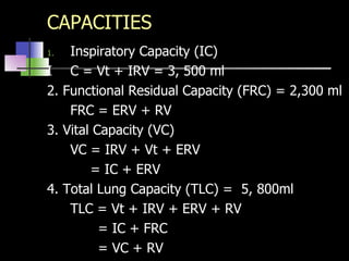 Respiration Ventilation | PPT