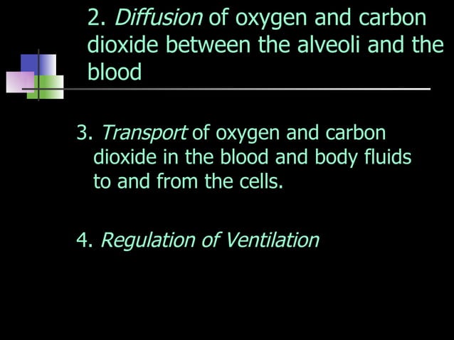 Respiration Ventilation | PPT