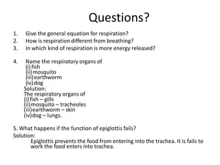 telangana ssc biology chapter 2 RESPIRATION pdf | PDF