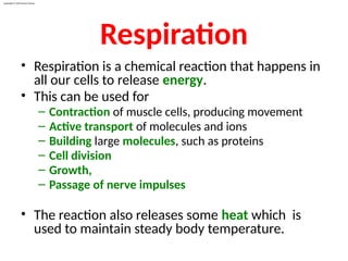Respiration reaction in living organisms | PPTX