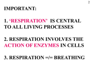 Respiration reaction in living organisms | PPTX