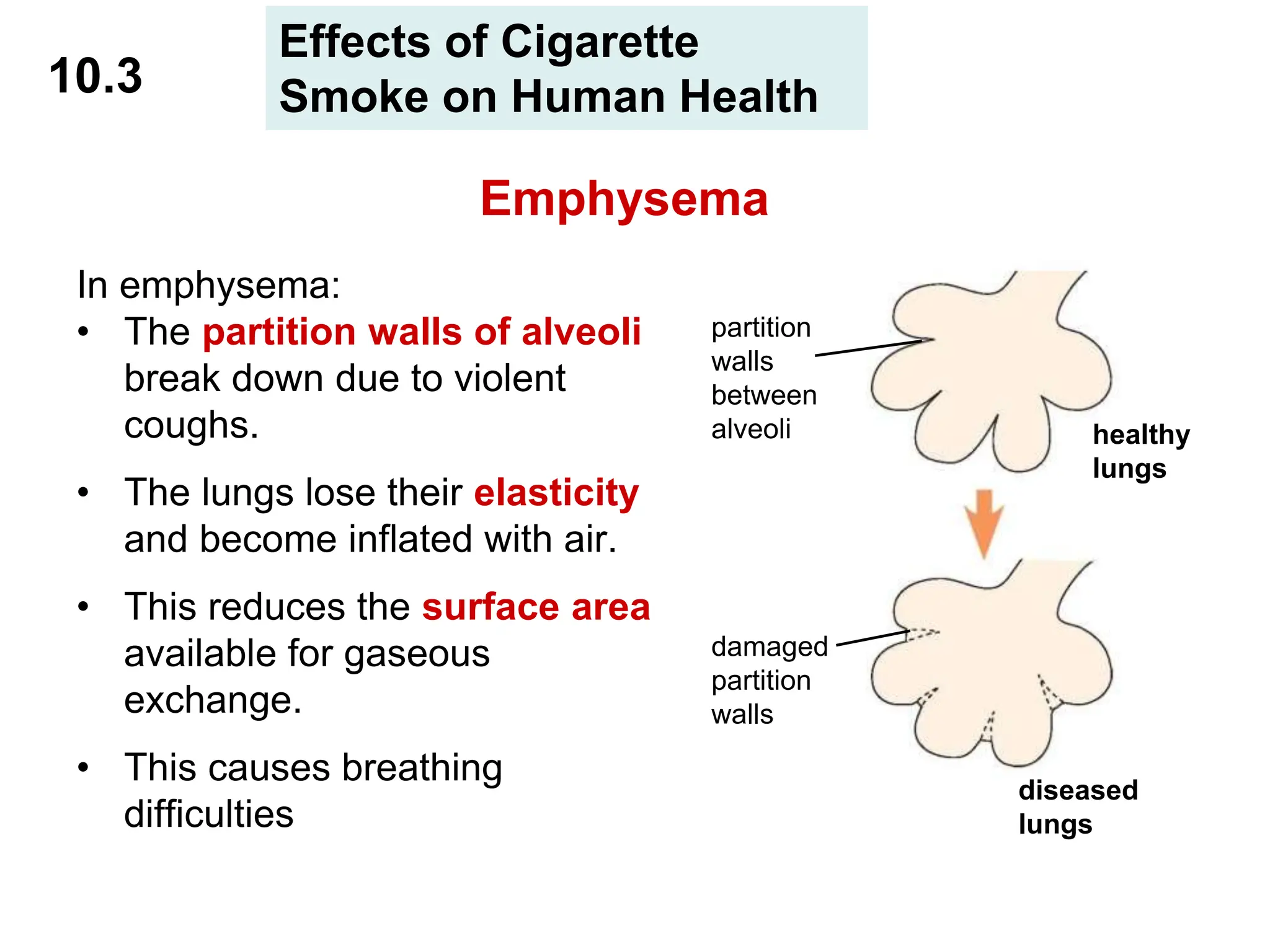 Respiration o-level combined biology 1 (2).pptx