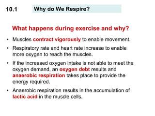 Respiration o-level combined biology 1 (2).pptx