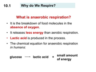 Respiration o-level combined biology 1 (2).pptx