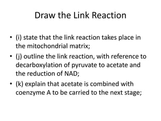 Respiration 4 link and krebs | PPTX