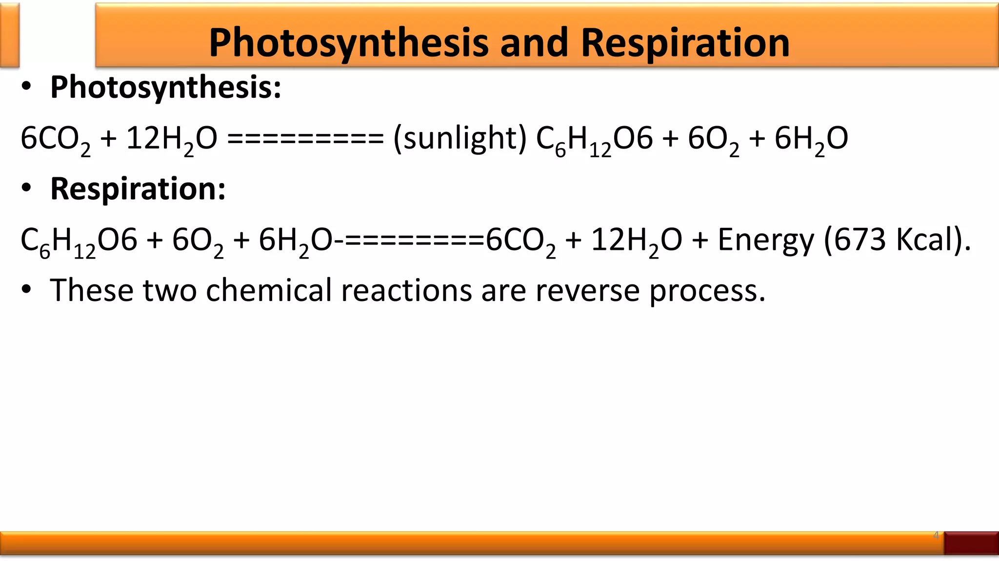 Respiration | PPTX