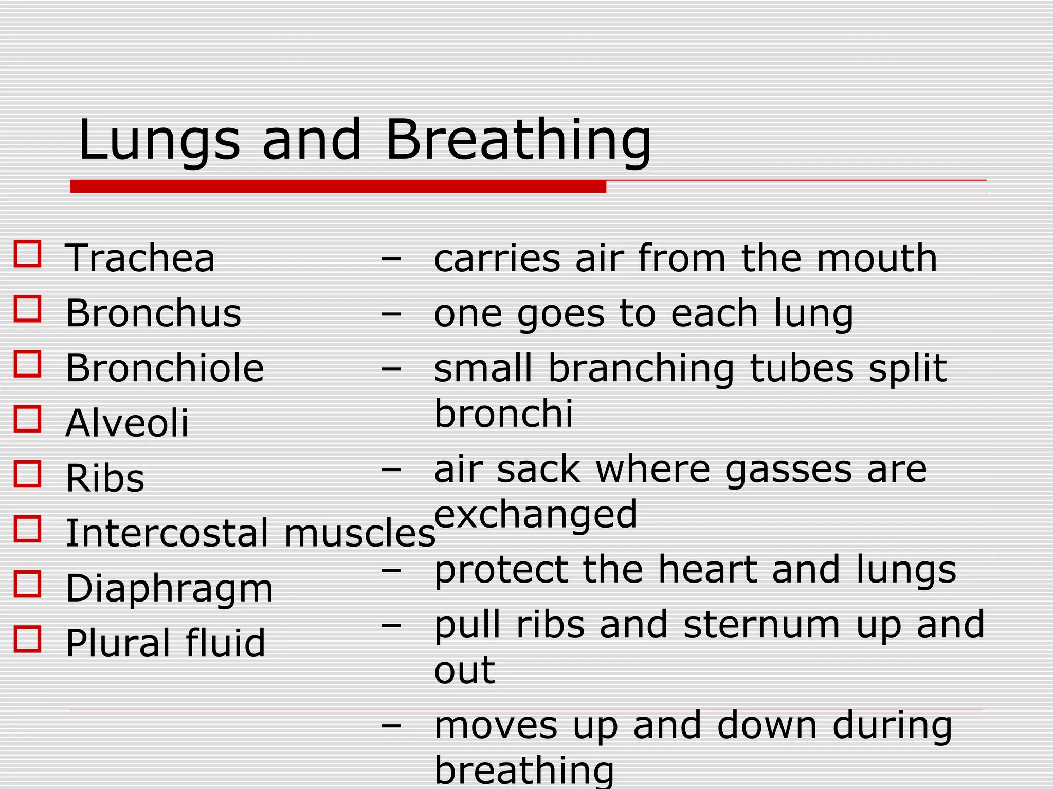 10. Respiration in Organism by Dilip Kumar Chandra | PPT